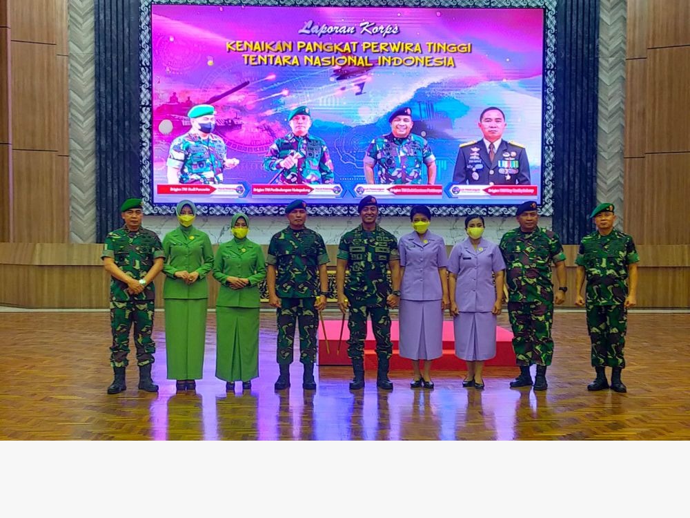 Naik Pangkat dari Kolonel Menjadi Brigjen, Ini Kata Parlindungan Hutagalung